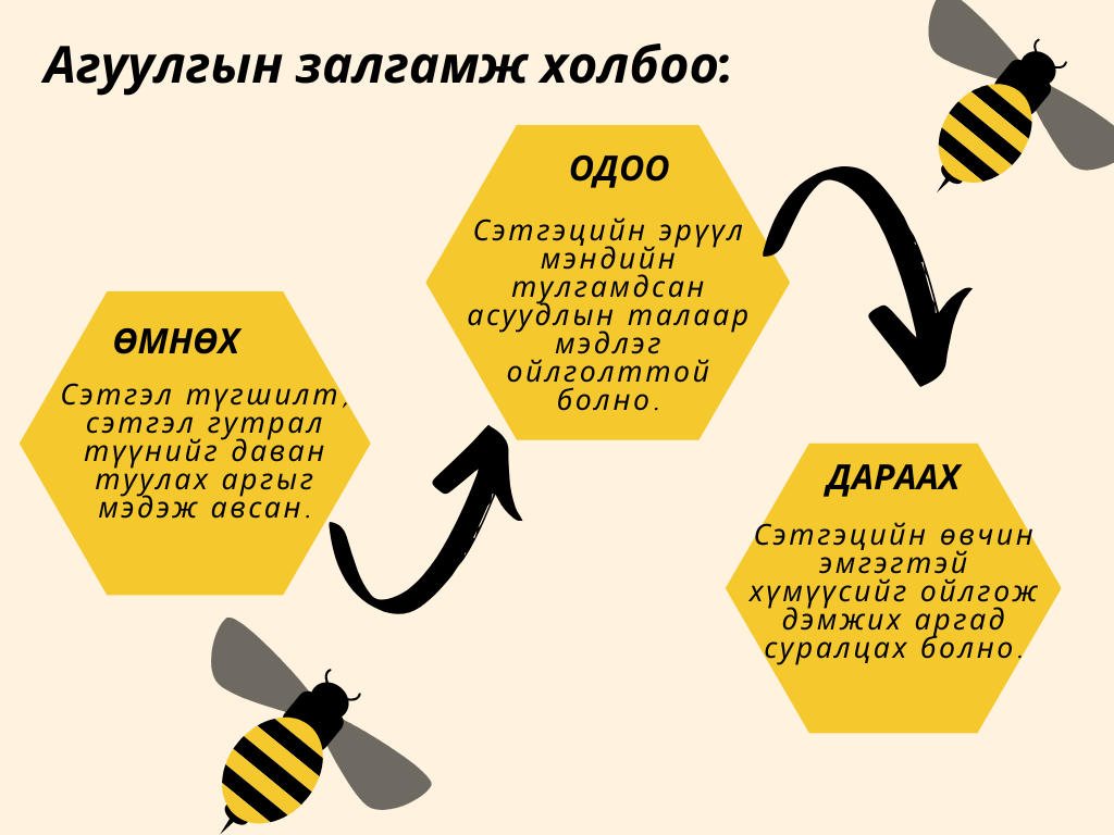 Мэдлээ Цахим контент